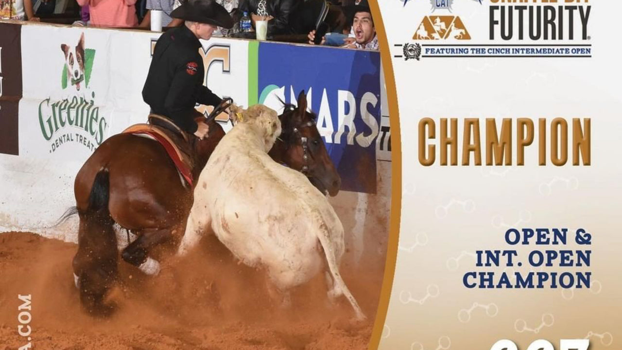 Tornado Jonez 2022 NRCHA Snaffle Bit Futurity – TornadoJonezCoffee